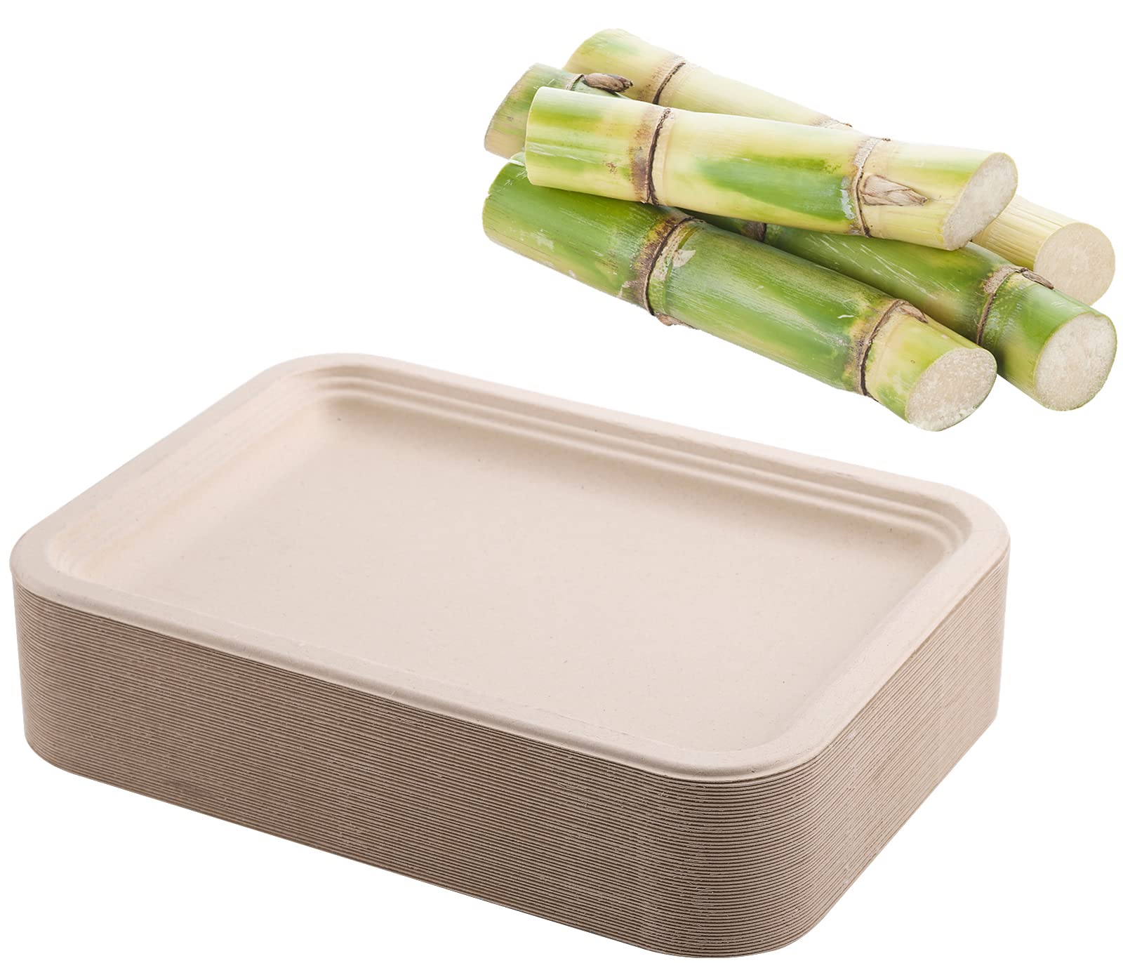 Lawei 50 Pack 14 Inch Biodegradable Paper Plates, Rectangle Compostable Disposable Food Trays 100% Heavy-Duty Sugarcane Bagasse Paper Platter for Seafood, BBQ, Picnic, Party