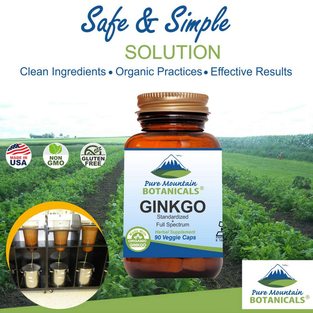 Ginkgo Biloba Capsules – Kosher Vegan Caps with 400mg Ginkgo Biloba Leaf and Ginko Extract Supplement