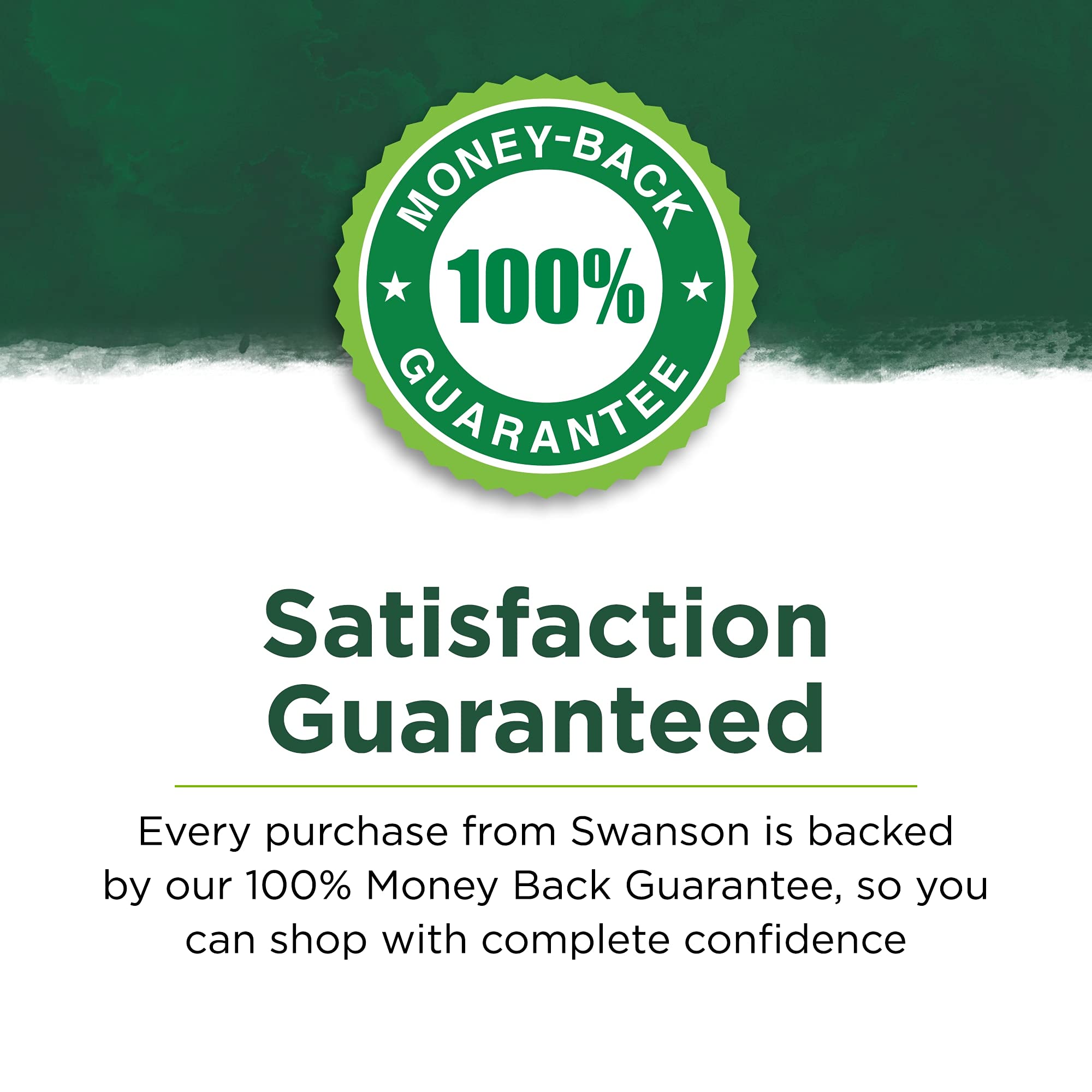 Swanson Ginkgo Biloba Extract 24% 60 Milligrams 240 Capsules
