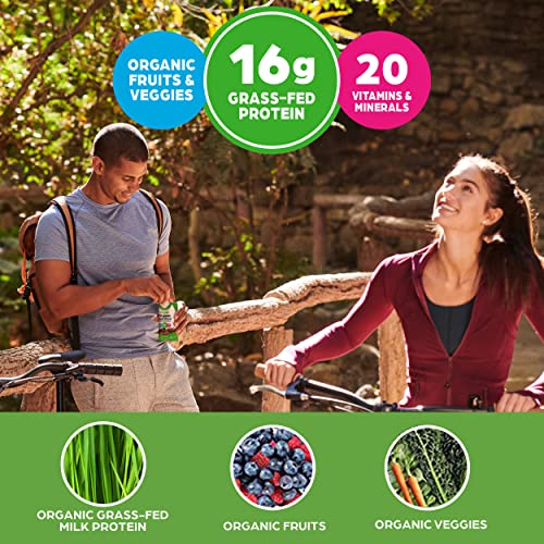 Orgain Organic Nutritional Shake, Creamy Chocolate Fudge - Meal Replacement, 16g Grass Fed Whey Protein, 20 Vitamins & Minerals, Gluten & Soy Free, Kosher, Non-GMO, 11 Fl Oz (Pack of 12)