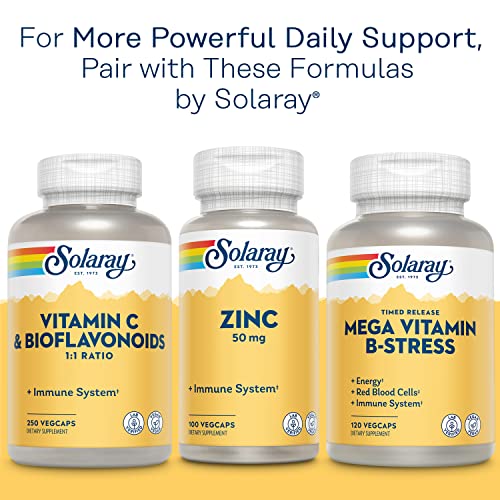 Solaray Calcium Magnesium Citrate 2:1 Ratio with Vitamin D2, Healthy Bone, Muscle & Nerve Support, 60 Serv, 360 VegCaps