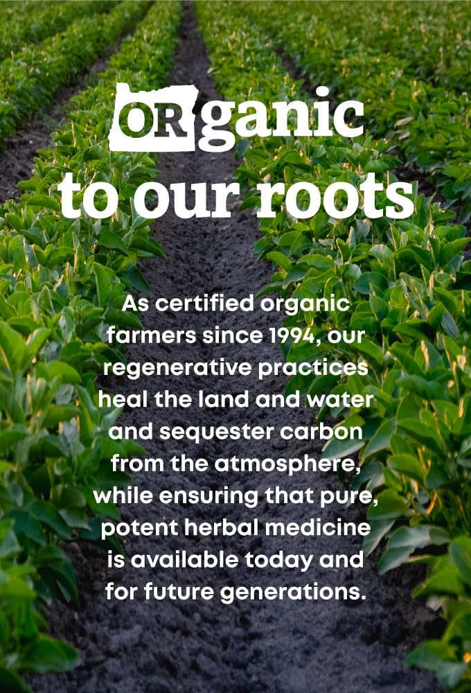 Oregon's Wild Harvest Non-GMO Ginkgo Certified Organic Capsules 90 Count
