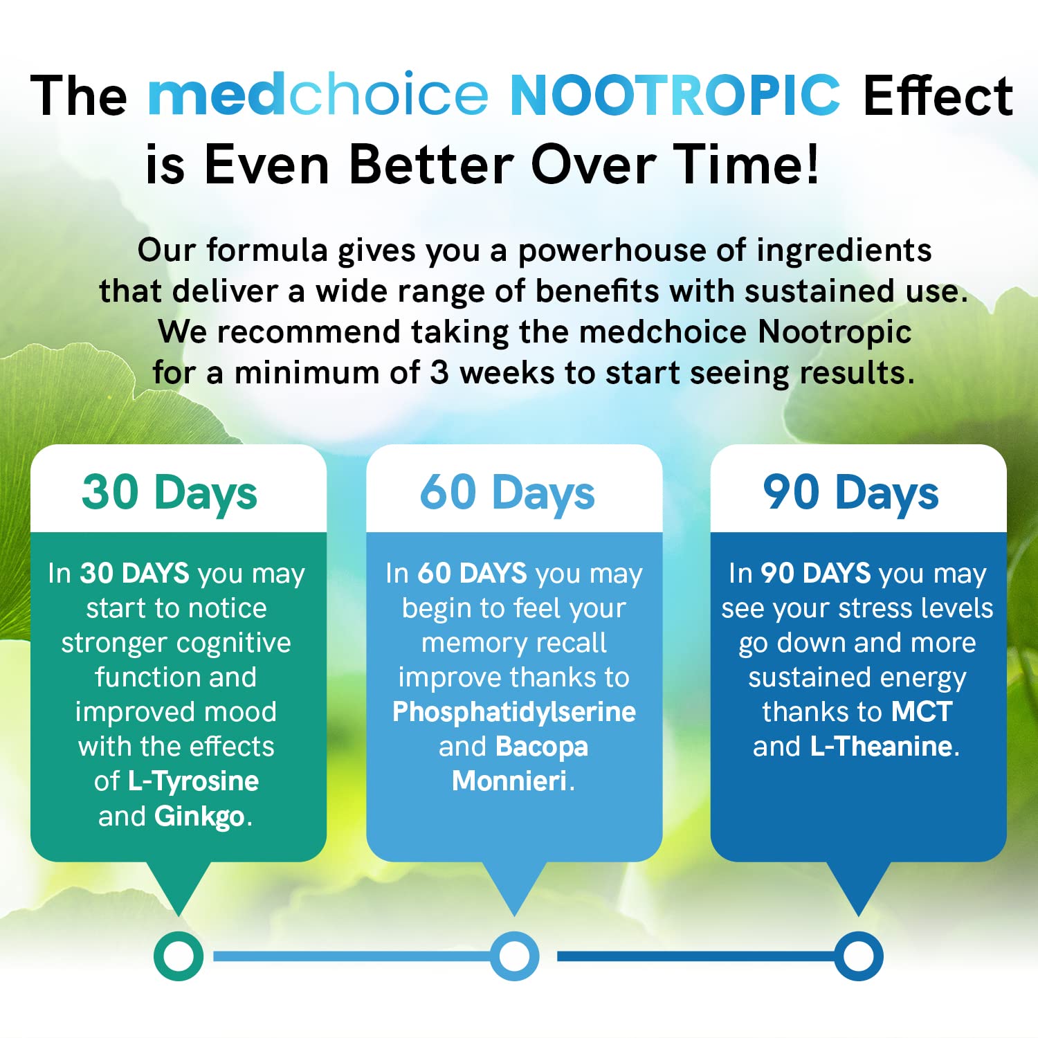 12-in-1 Nootropic Brain Supplement Anhydrous: Ginkgo Biloba for Brain Support, Memory and Focus - B12, Alpha GPC, L Theanine and Choline Supplements with Bioperine non Caffeinated 1321mg (120ct)