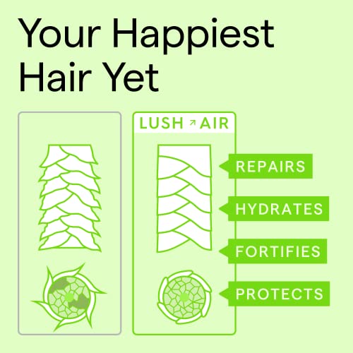 Lush Air ๐ช๐๐ก๐ก๐๐ฅ ๐ฎ๐ฌ๐ฎ๐ฏ* Hair Mask for Dry and Damaged Hair, Hair Treatment for Nourishing and Hydrating Dry Hair, Vegan and Cruelty Free, 8 Fl Oz