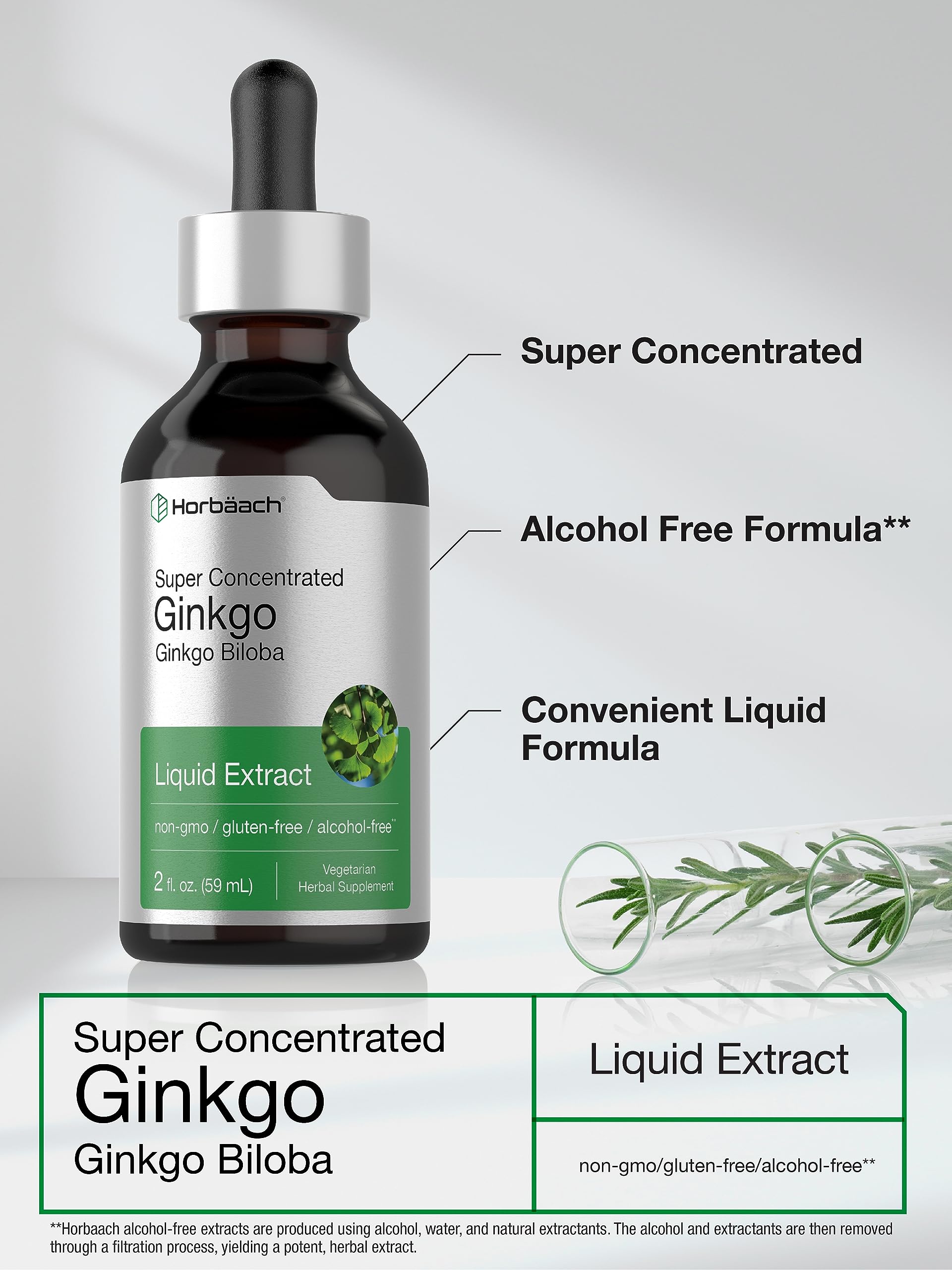 Horbäach Ginkgo Biloba Extract Liquid | 2 fl oz | Alcohol Free Leaf Extract Supplement | Vegetarian, Non-GMO, Gluten Free