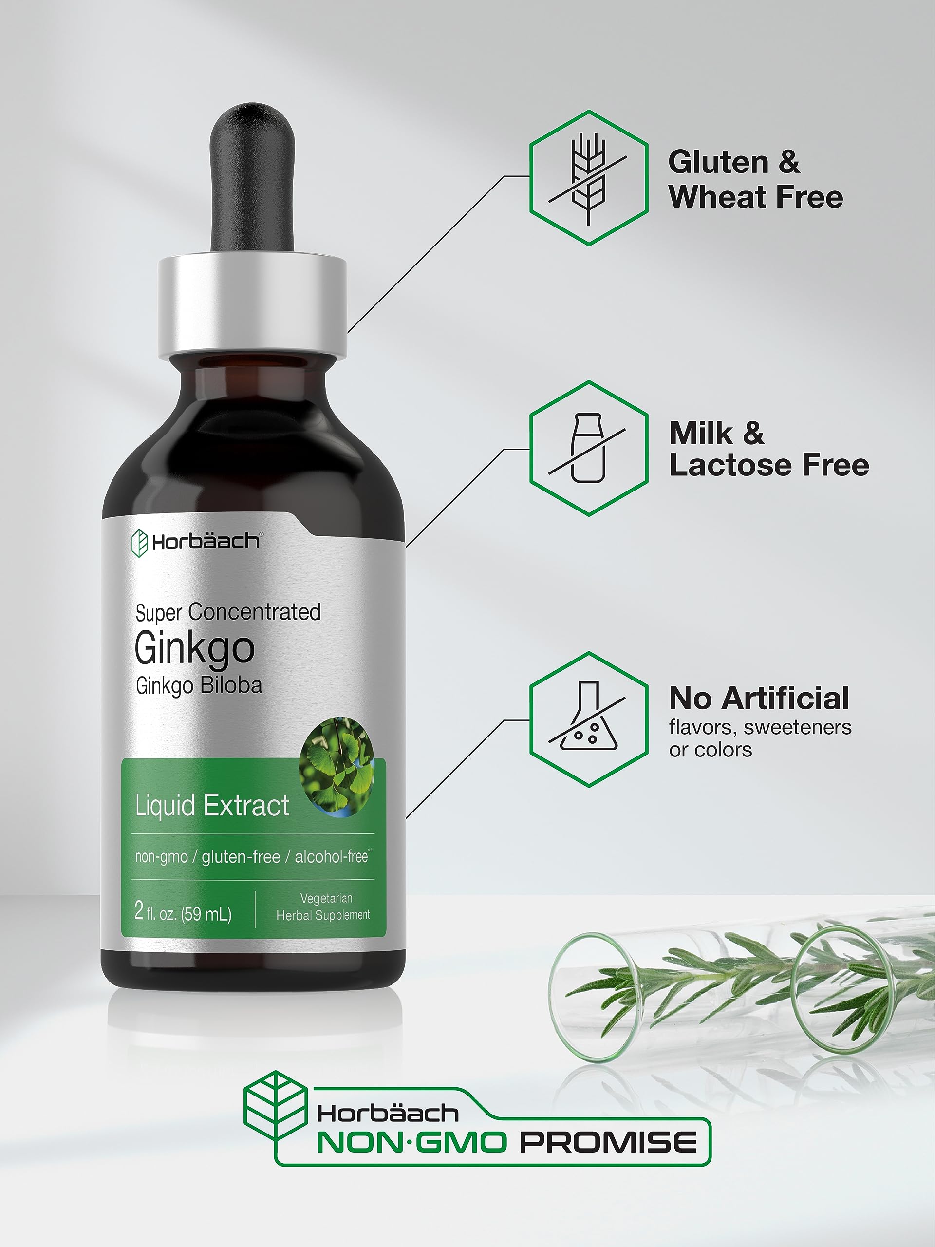 Horbäach Ginkgo Biloba Extract Liquid | 2 fl oz | Alcohol Free Leaf Extract Supplement | Vegetarian, Non-GMO, Gluten Free