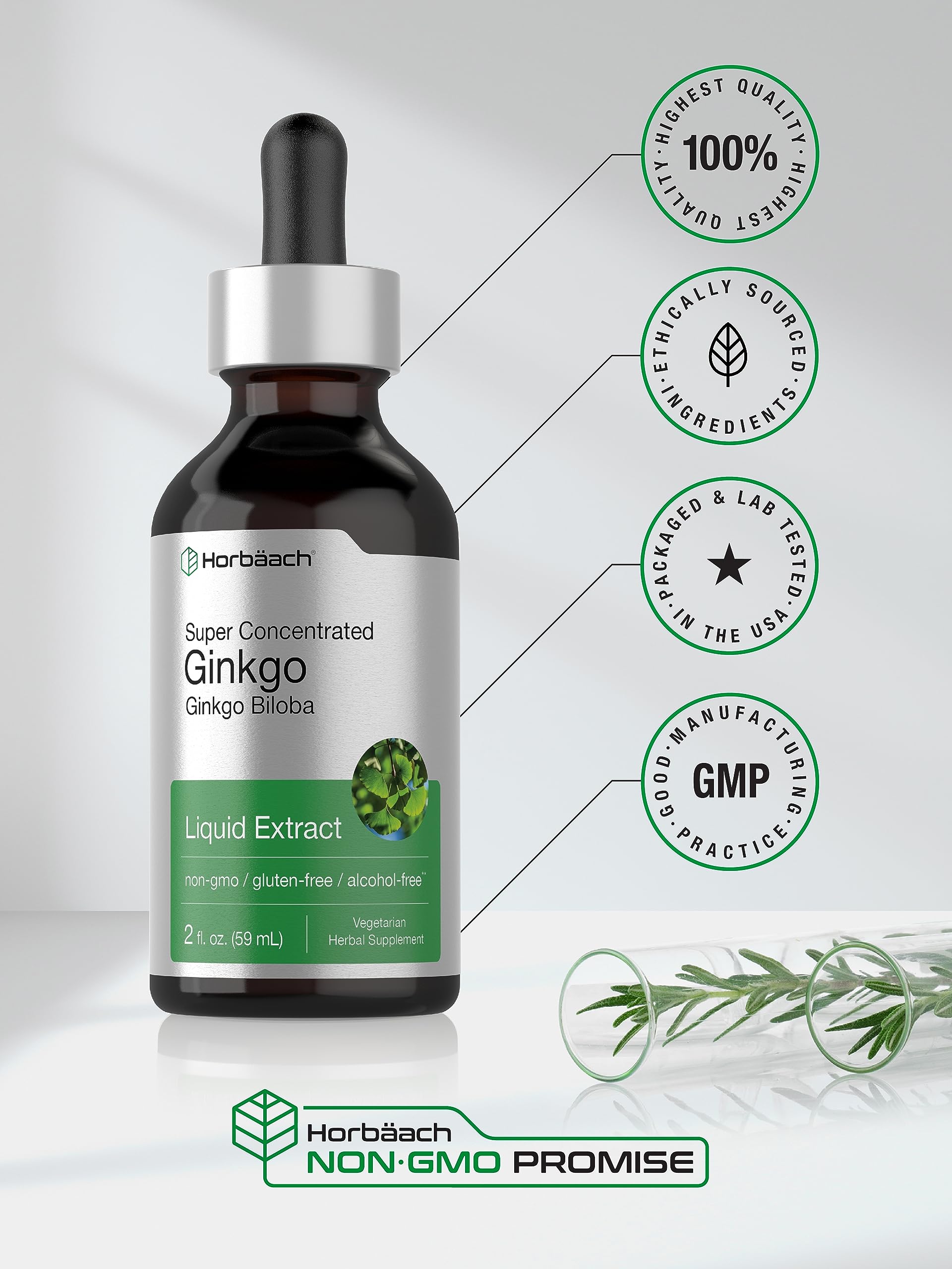Horbäach Ginkgo Biloba Extract Liquid | 2 fl oz | Alcohol Free Leaf Extract Supplement | Vegetarian, Non-GMO, Gluten Free