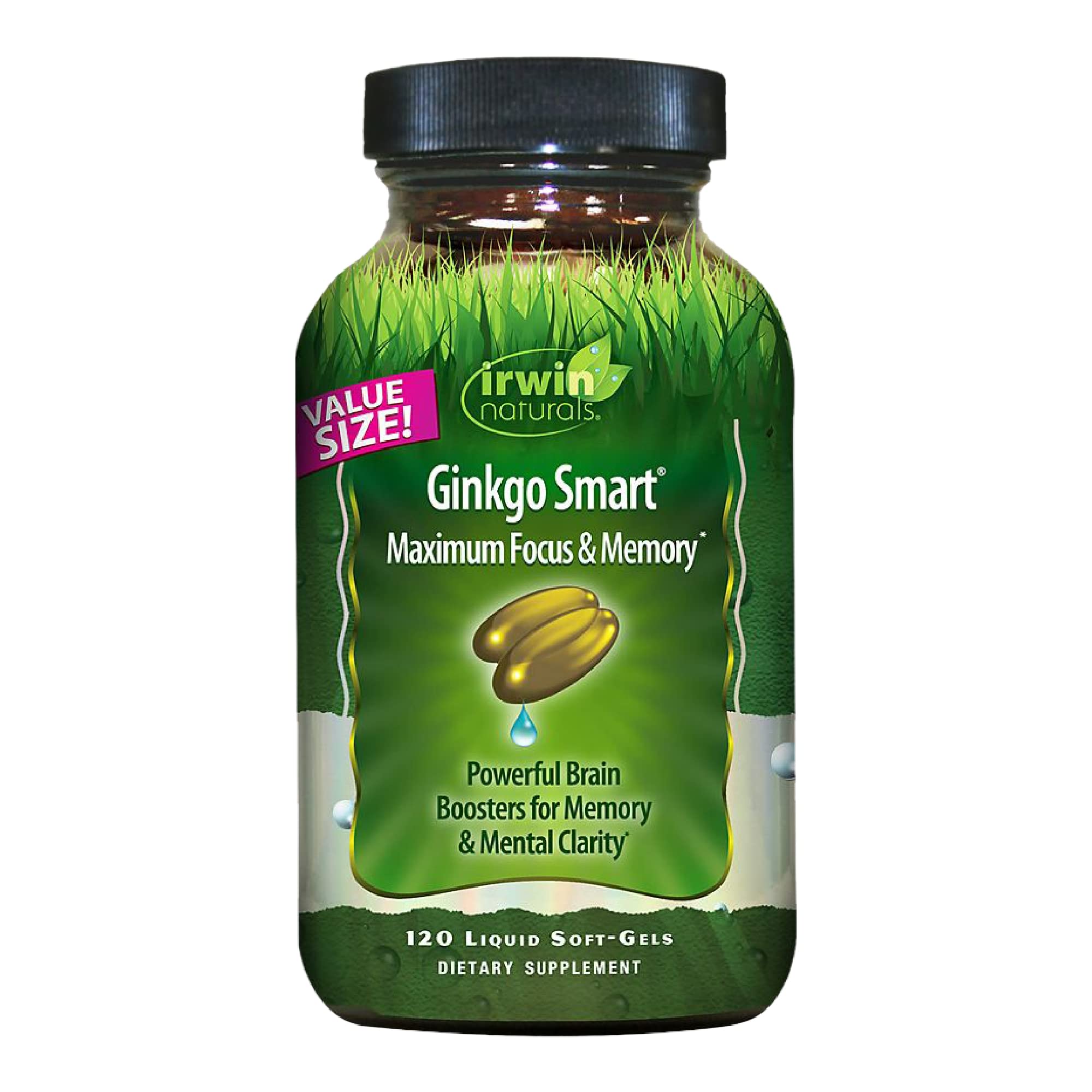 Irwin Naturals Ginkgo Smart Powerful Nootropic Brain Booster - Supports Maximum Memory, Focus & Mental Clarity with DMAE, Clubmoss, Choline & Acetyl L-Carnitine - 120 Liquid Softgels