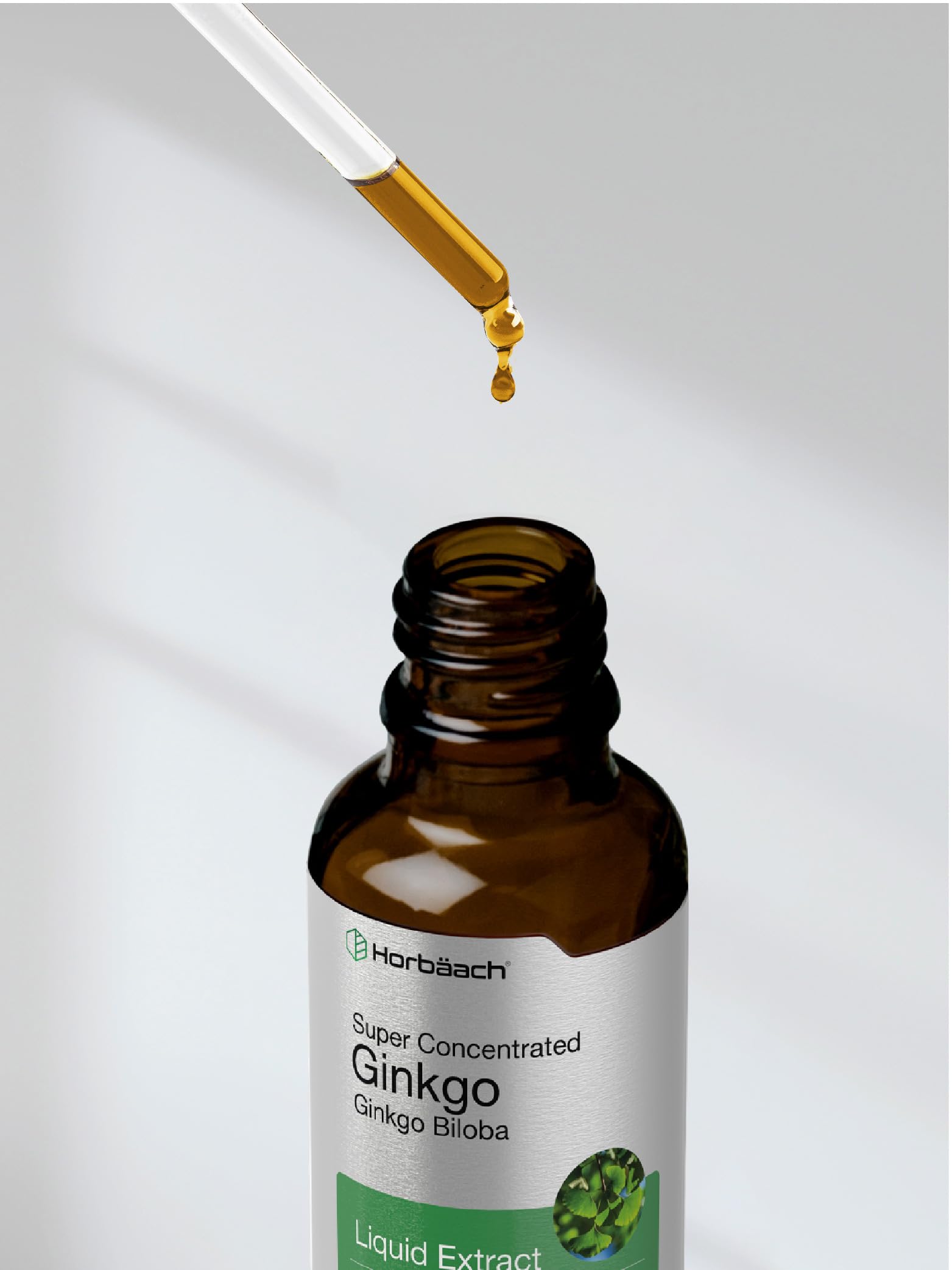 Horbäach Ginkgo Biloba Extract Liquid | 2 fl oz | Alcohol Free Leaf Extract Supplement | Vegetarian, Non-GMO, Gluten Free