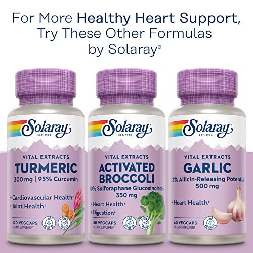 SOLARAY Red Yeast Rice Plus CoQ-10 & No-Flush Niacin Vitamin B-3, Healthy Heart & Cardiovascular Support, Non-Irradiated & Citrinin Free, 60 Day Money Back Guarantee, 90 Servings, 90 VegCaps