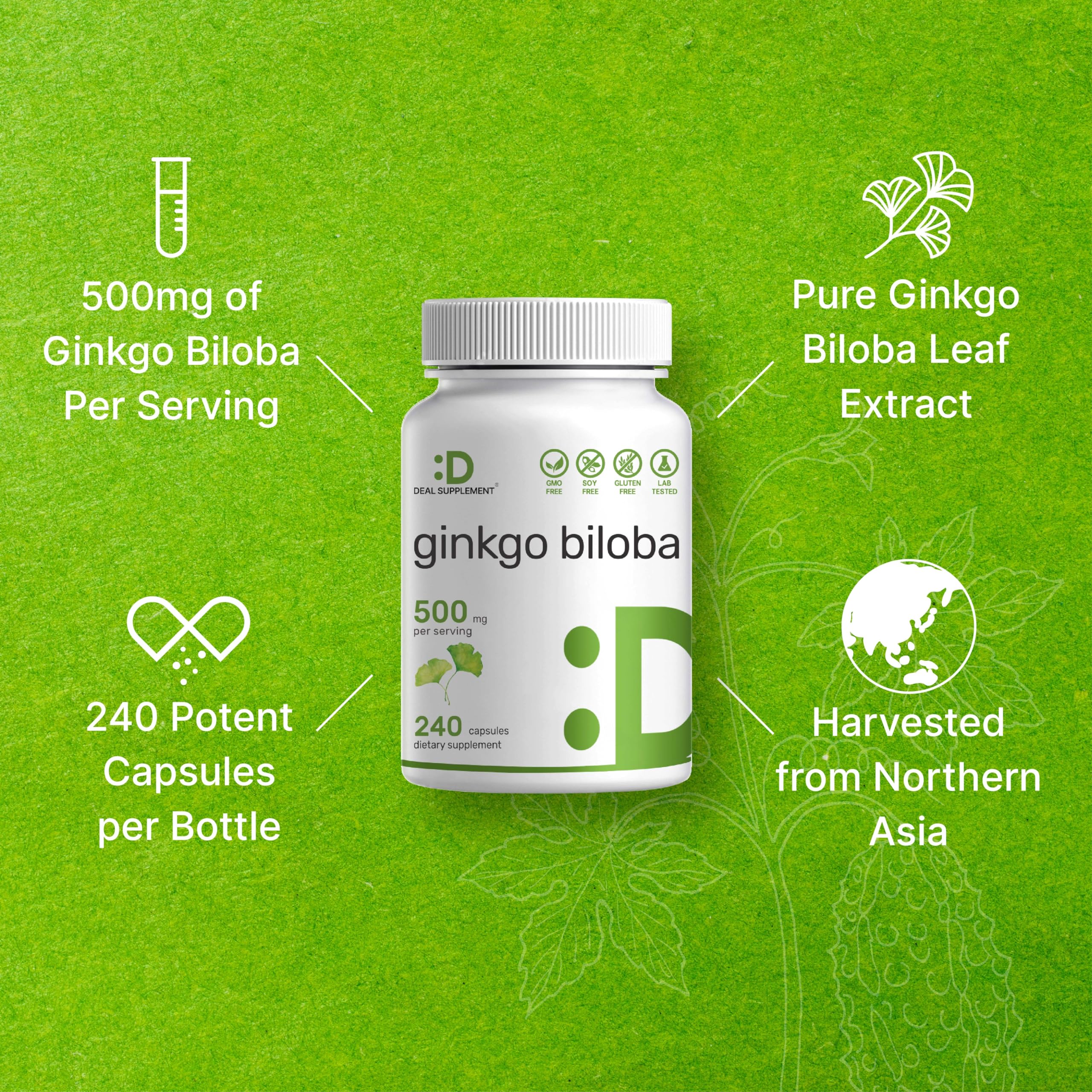 DEAL SUPPLEMENT Ginkgo Biloba 500mg Per Serving, 240 Capsules, 4 Month Supply β Grown in Northern Asia β Extra Strength, Promotes Brain Function