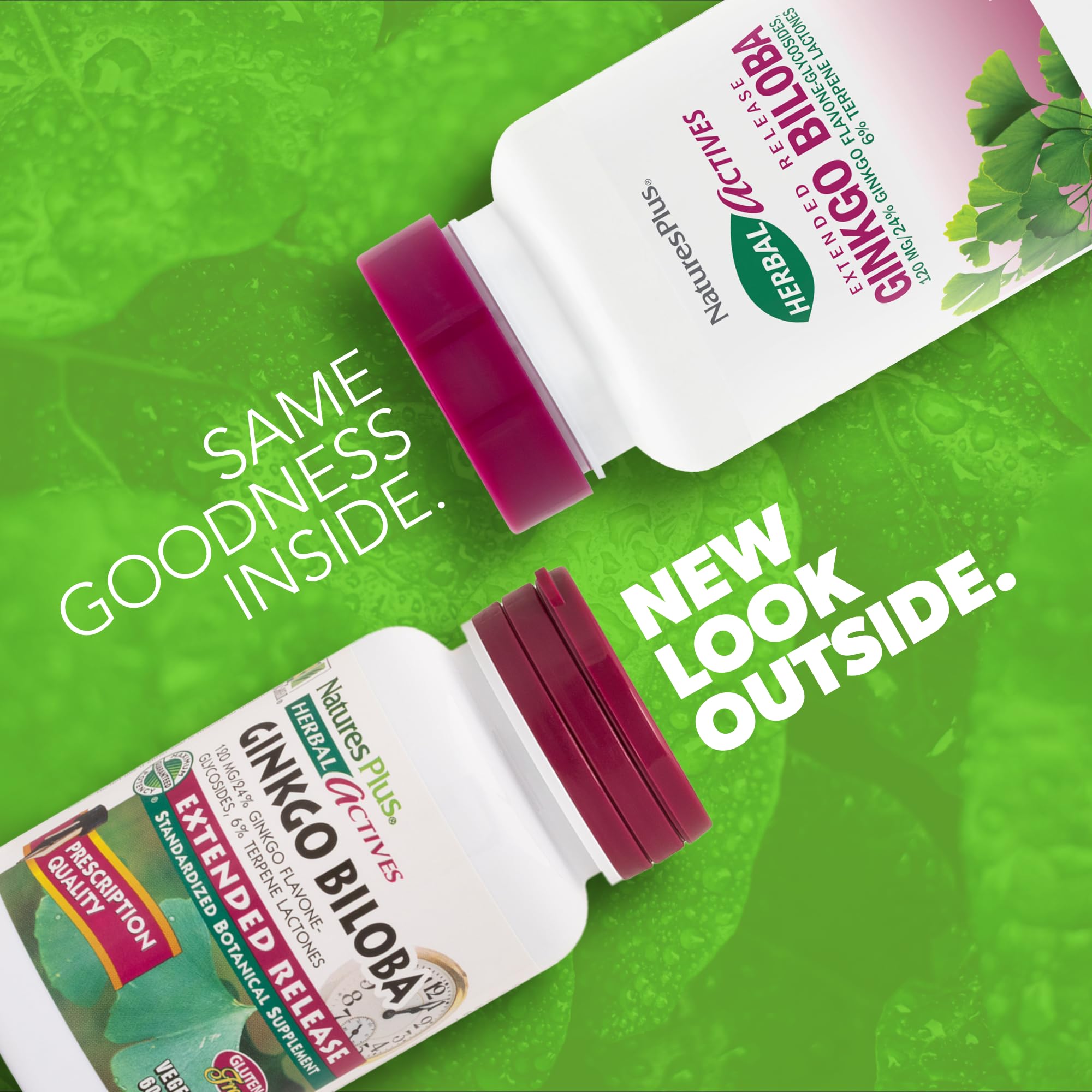 Natures Plus Herbal Actives Ginkgo Biloba, Extended Release - 120 mg, 60 Vegan Tablets - Vegetarian, Gluten-Free - 60 Servings