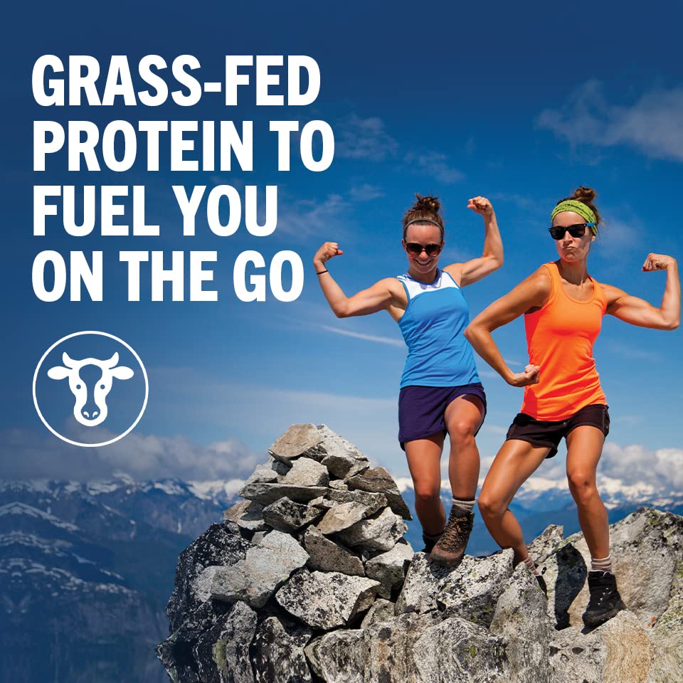 Orgain Organic 26g Grass Fed Whey Protein Shake, Creamy Chocolate - Meal Replacement, Ready to Drink, Low Net Carbs, No Sugar Added, Gluten Free, 14 Fl Oz (Pack of 12) (Packaging May Vary)