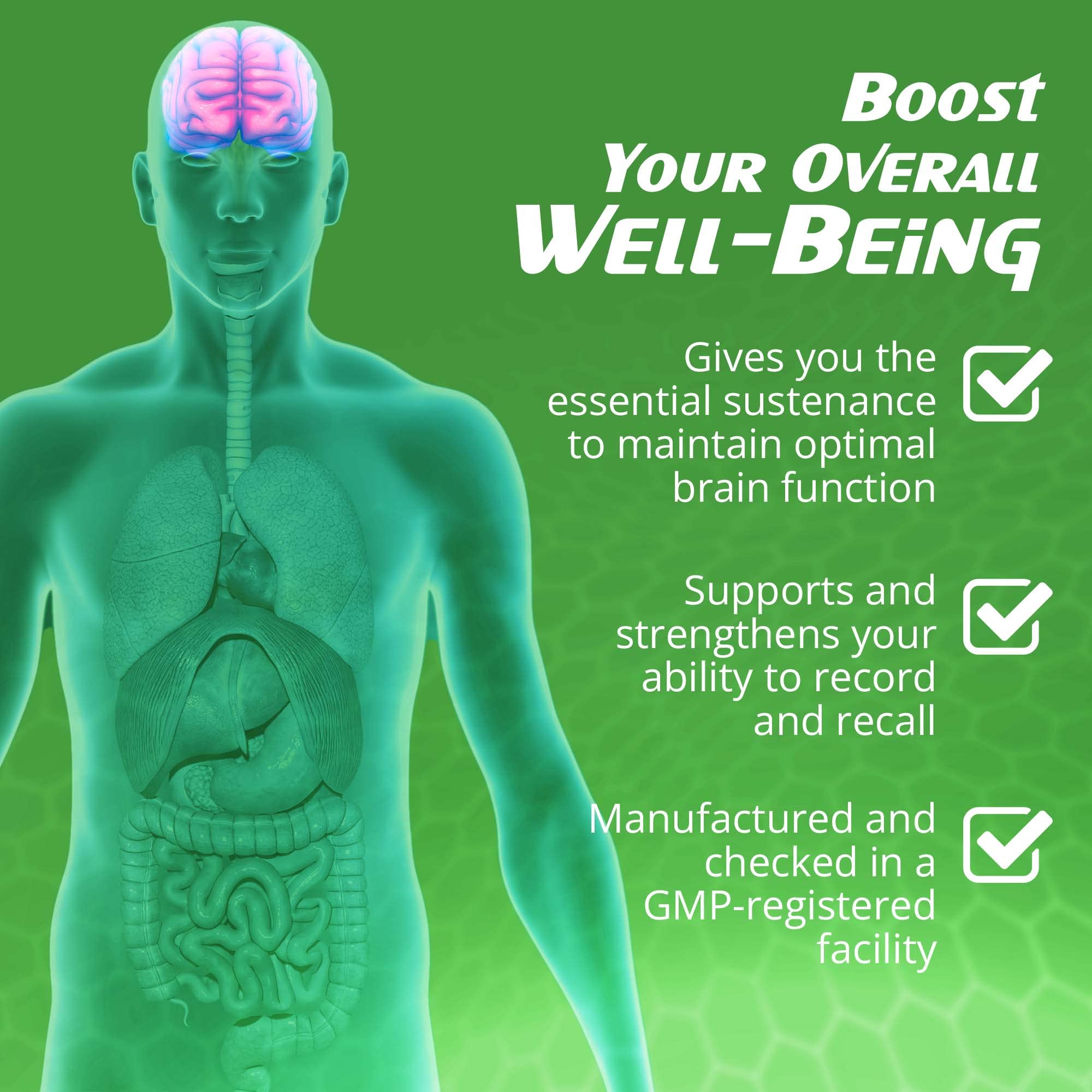 RaDoTech Ginkgo Biloba Support Brain Function, Supplements for Memory and Focus, Natural Antioxidant-Rich, Promotes Overall Health, 120 Vegetarian Capsules, GMP