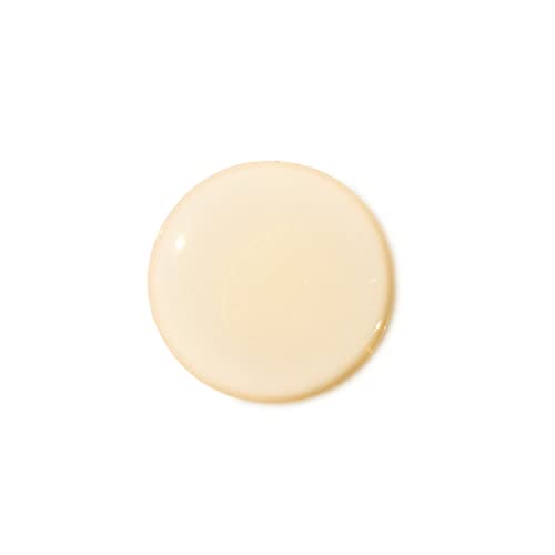 philosophy purity made simple pore minimizing serum, 1 FL Oz