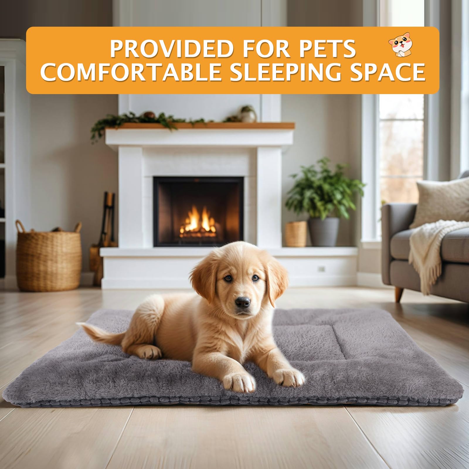 Vetasac Reversible Dog Bed Mat with Plush and Corn Velvet,Soft Warm Pet Cushion, Dual Purpose Washable Sleeping Mattress Bed for Small Medium Large Dog and Cat XB004 (24"x18", Light Grey)