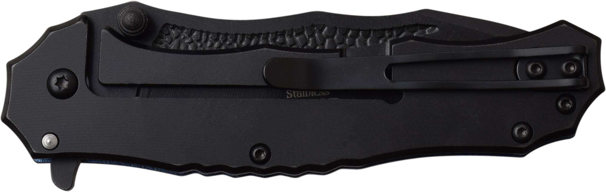 Dark Side Blades DS-A073BL Spring Assisted Knife
