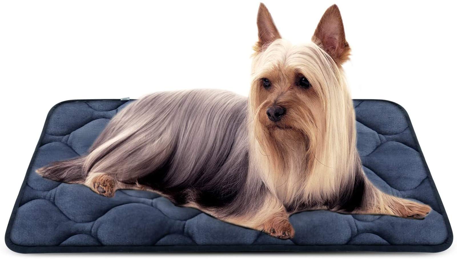 Hero Dog Dog Beds for Small Dogs Crate Pad Mat 27 inch Kennel Pads Washable Mattress Dog Sleeping Mats,Non Slip Pet Beds