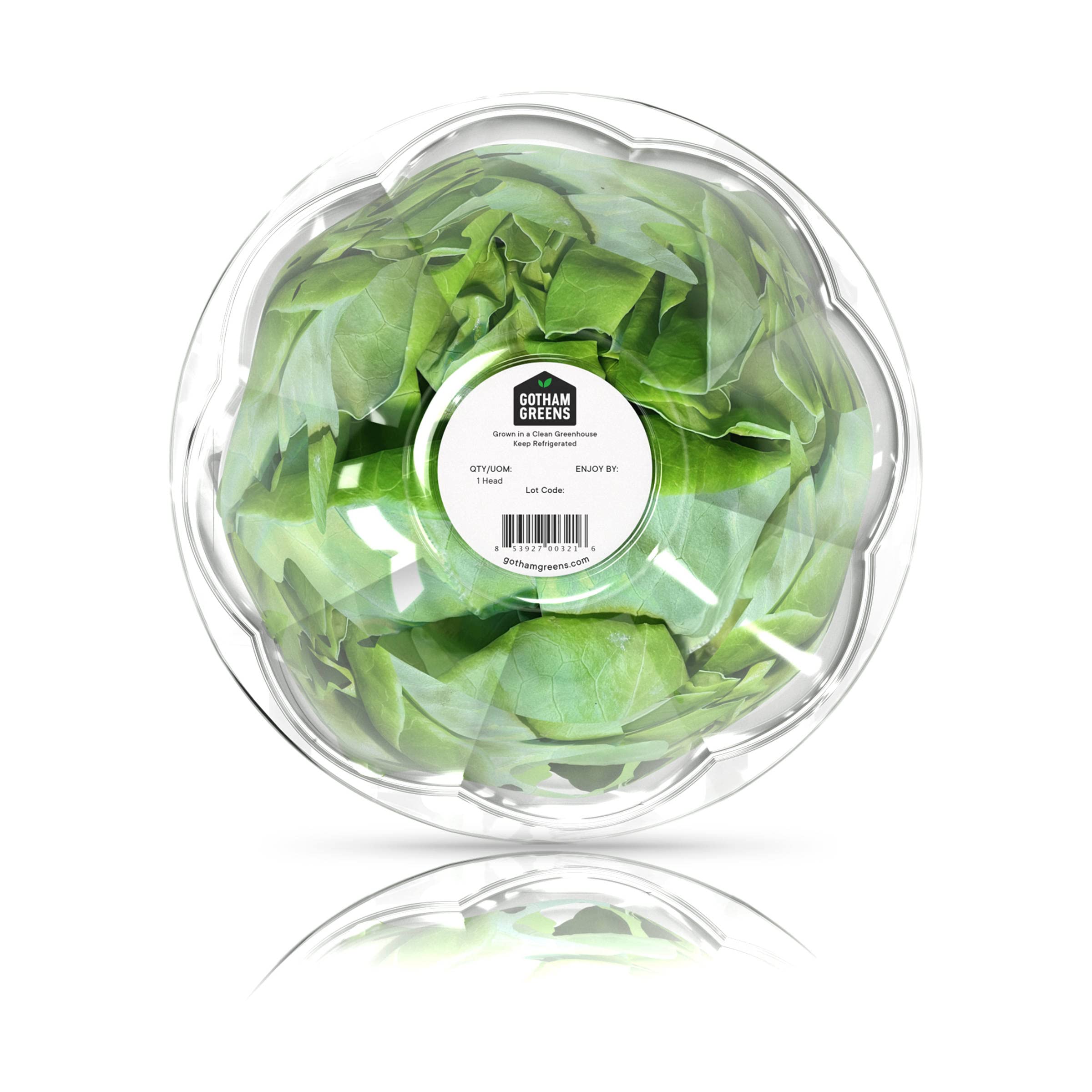 Gotham Greens Baby Butterhead, 1 Each