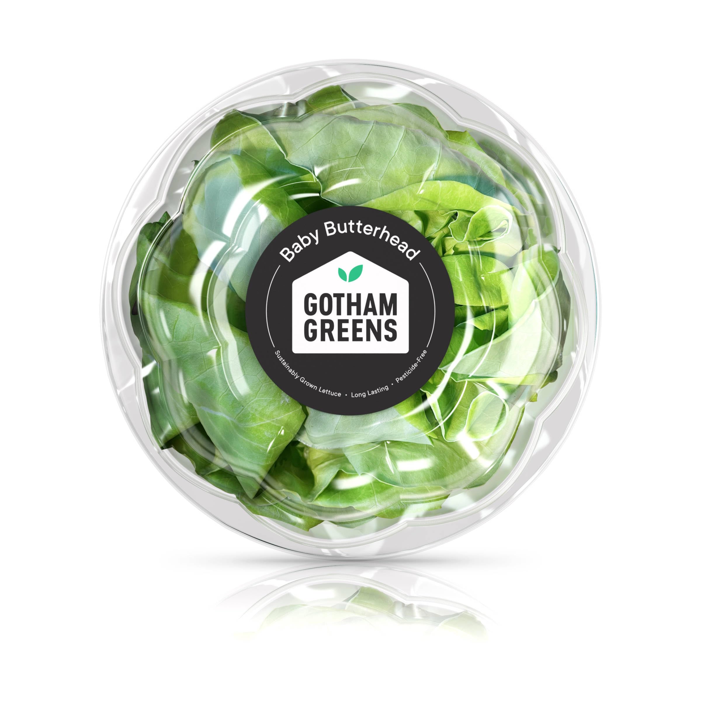 Gotham Greens Baby Butterhead, 1 Each
