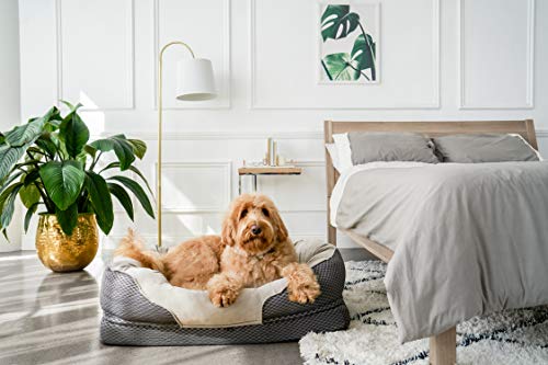 BarksBar Snuggly Sleeper Medium Gray Diamond Orthopedic Dog Bed with Solid Orthopedic Foam, Soft Cotton Bolster, and Ultra Soft Plush Sleeping Space - 32 x 22 Inches