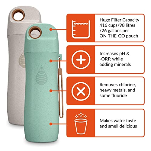 pH Vitality Stainless Steel Alkaline Water Pitcher - Alkaline Water Filter Pitcher Plus one pH Conscious 450ML Beige Wheat Straw Alkaline Water Bottle Bundle