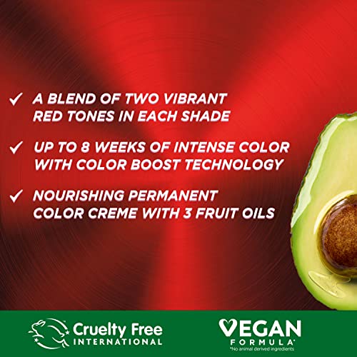 Garnier Nutrisse Ultra Color Nourishing Bold Permanent Hair Color Creme, RC1 Med Copper Red, Includes Fruit Oil Ampoule and After Dye Hair Mask, 2 Kit