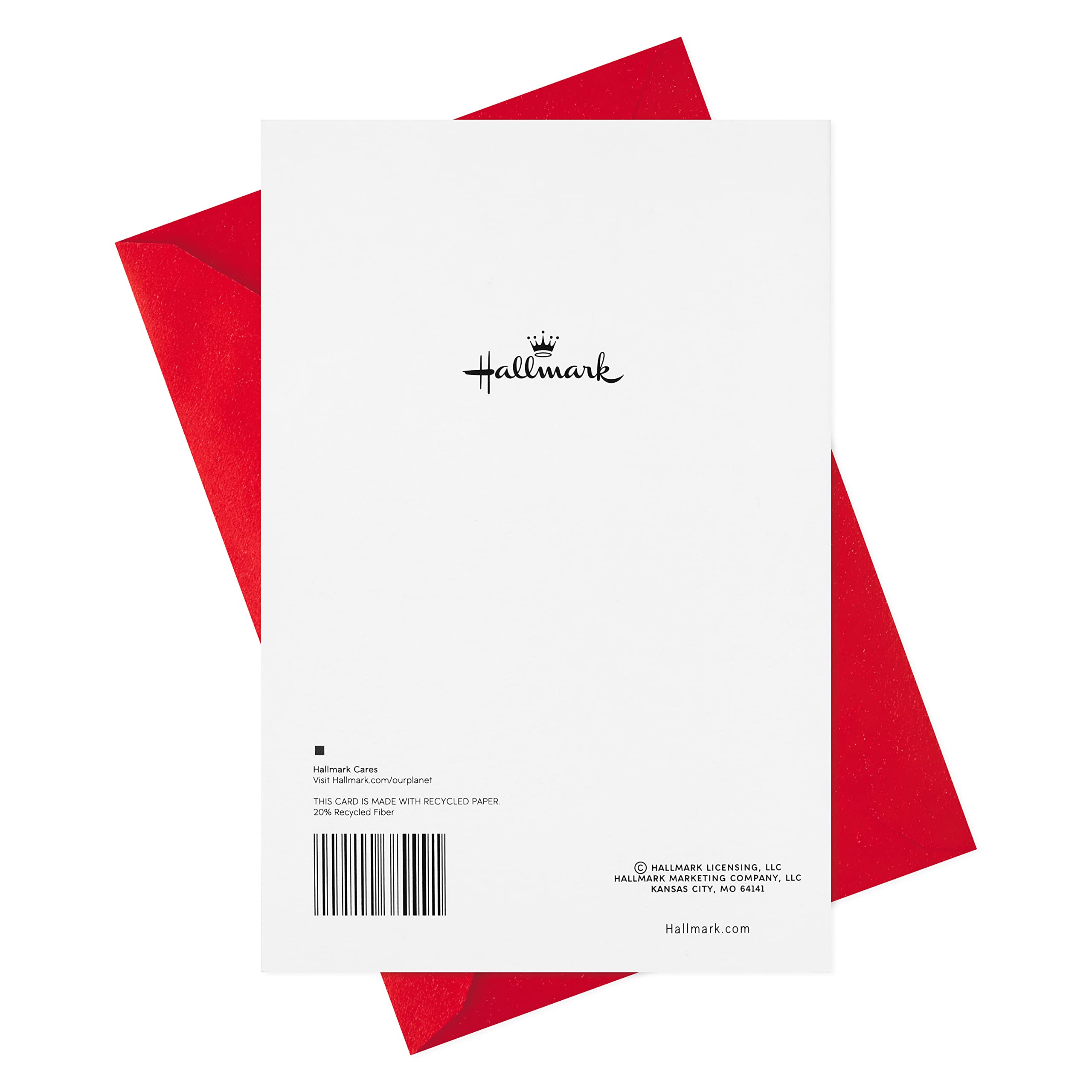 Hallmark Pack of Valentine's Day Cards, Hearts and Flowers (10 Cards with Envelopes)