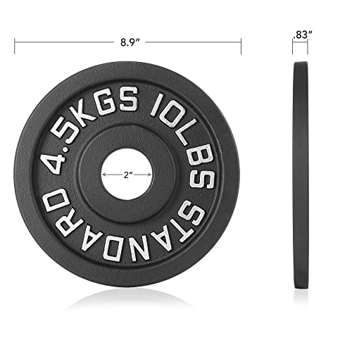 Philosophy Gym Standard Cast Iron Olympic 2-inch Weight Plate, 10 LB, Single Weight Plate