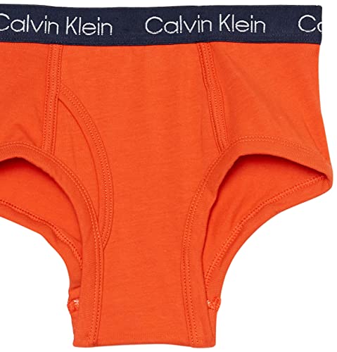 Calvin Klein Boys' Modern Cotton Assorted Briefs Underwear, Blue/Marl/SAMB, XS