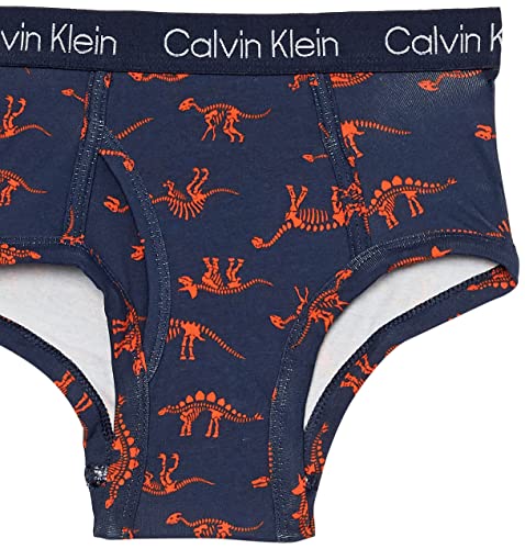 Calvin Klein Boys' Modern Cotton Assorted Briefs Underwear, Blue/Marl/SAMB, XS