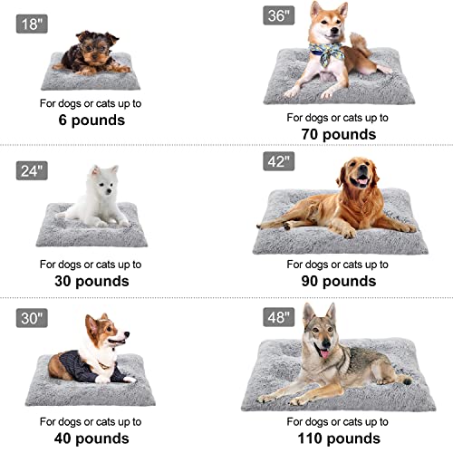 Cozyide Orthopedic Dog Beds for Small Dogs, Non-Slip Pet Bed with Soft Plush, Machine Washable Dog Bed for Crate (18" L x 12" W x 2" Th, Grey)