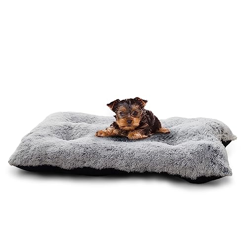 Cozyide Orthopedic Dog Beds for Small Dogs, Non-Slip Pet Bed with Soft Plush, Machine Washable Dog Bed for Crate (18" L x 12" W x 2" Th, Grey)