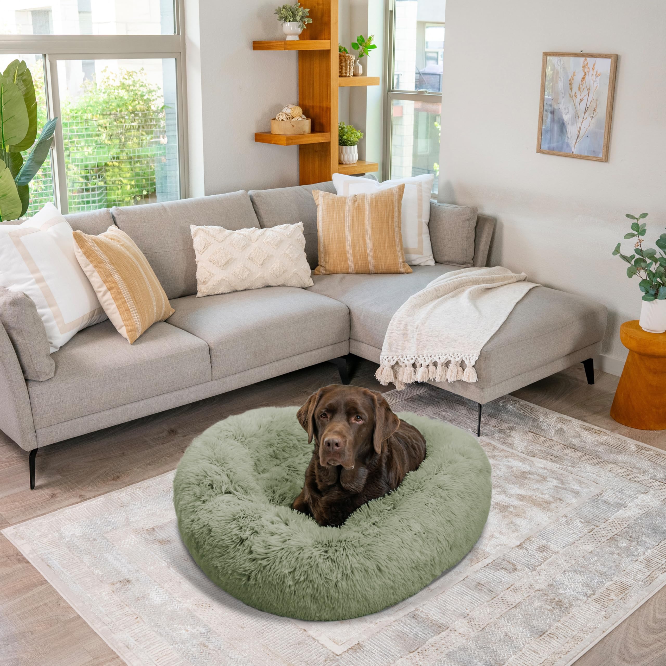 Best Friends by Sheri The Original Calming Donut Dog and Cat Bed in Shag Fur, Sage Green, Large, 36x36