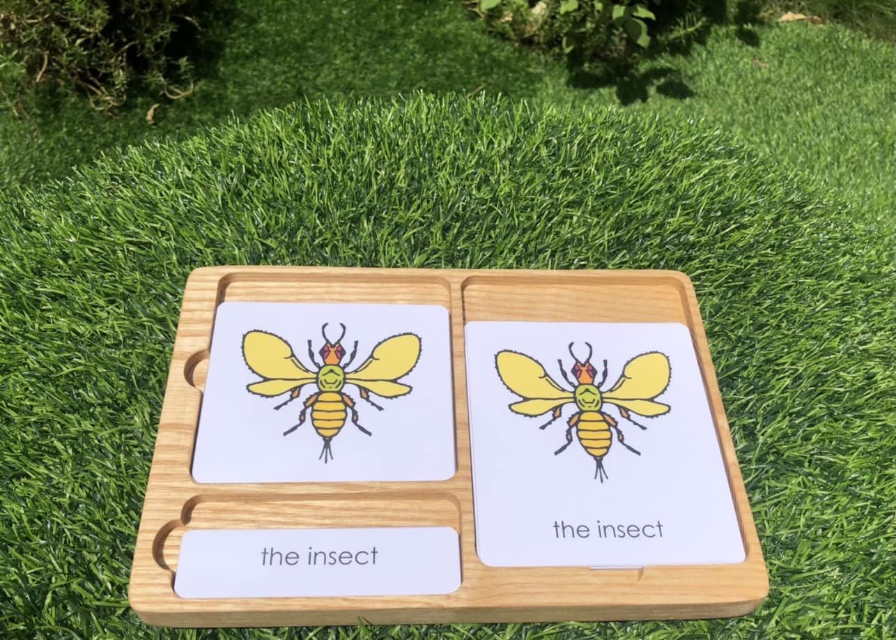 KIHACO Display Tray for Three Part Card Montessori