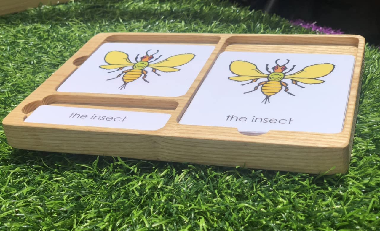 KIHACO Display Tray for Three Part Card Montessori