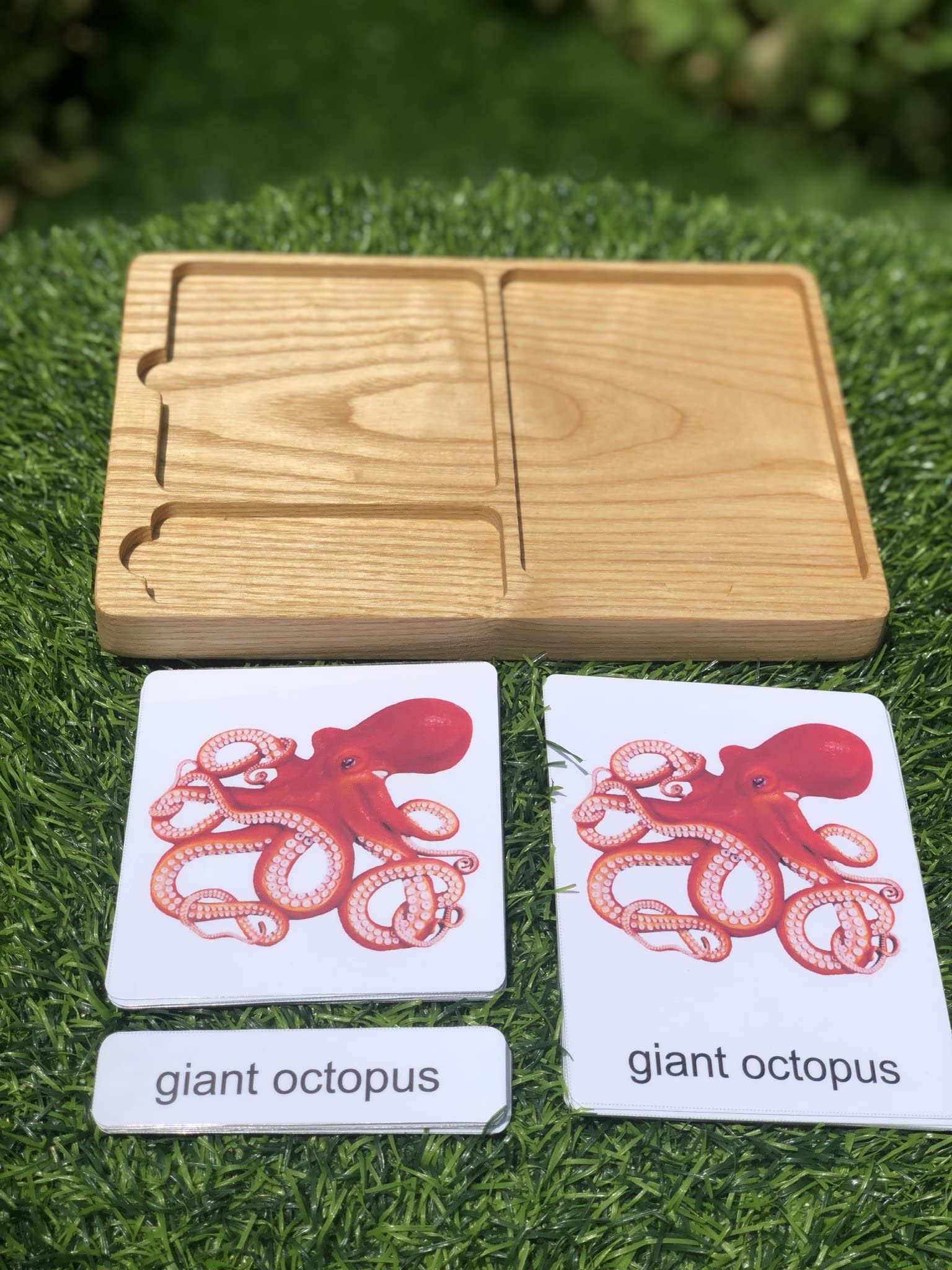 KIHACO Display Tray for Three Part Card Montessori