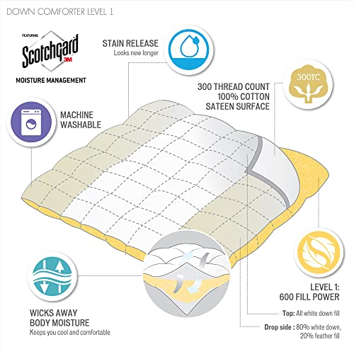 Sleep Philosophy True North 3M Scotchgard 300TC Quilted Down Comforter 100% Cotton Sateen Cover Downproof, Feather Blend Duvet Insert, Modern Luxe All Season Bed Set Twin, Medium Warm