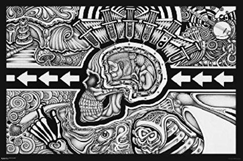Conscious Existence By Christopher Sheehan Poster Art Artistic Artist Aesthetic Classic Vintage Retro Home Living Room Bedroom Office School Design Decoration Cool Wall Decor Art Print Poster 24x36