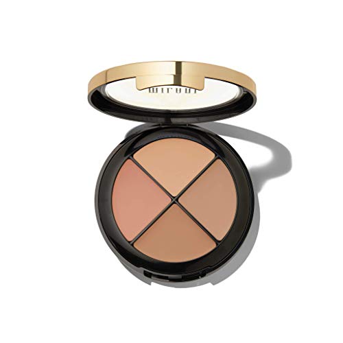 Conceal + Perfect All-in-One Palette - Medium To Dark