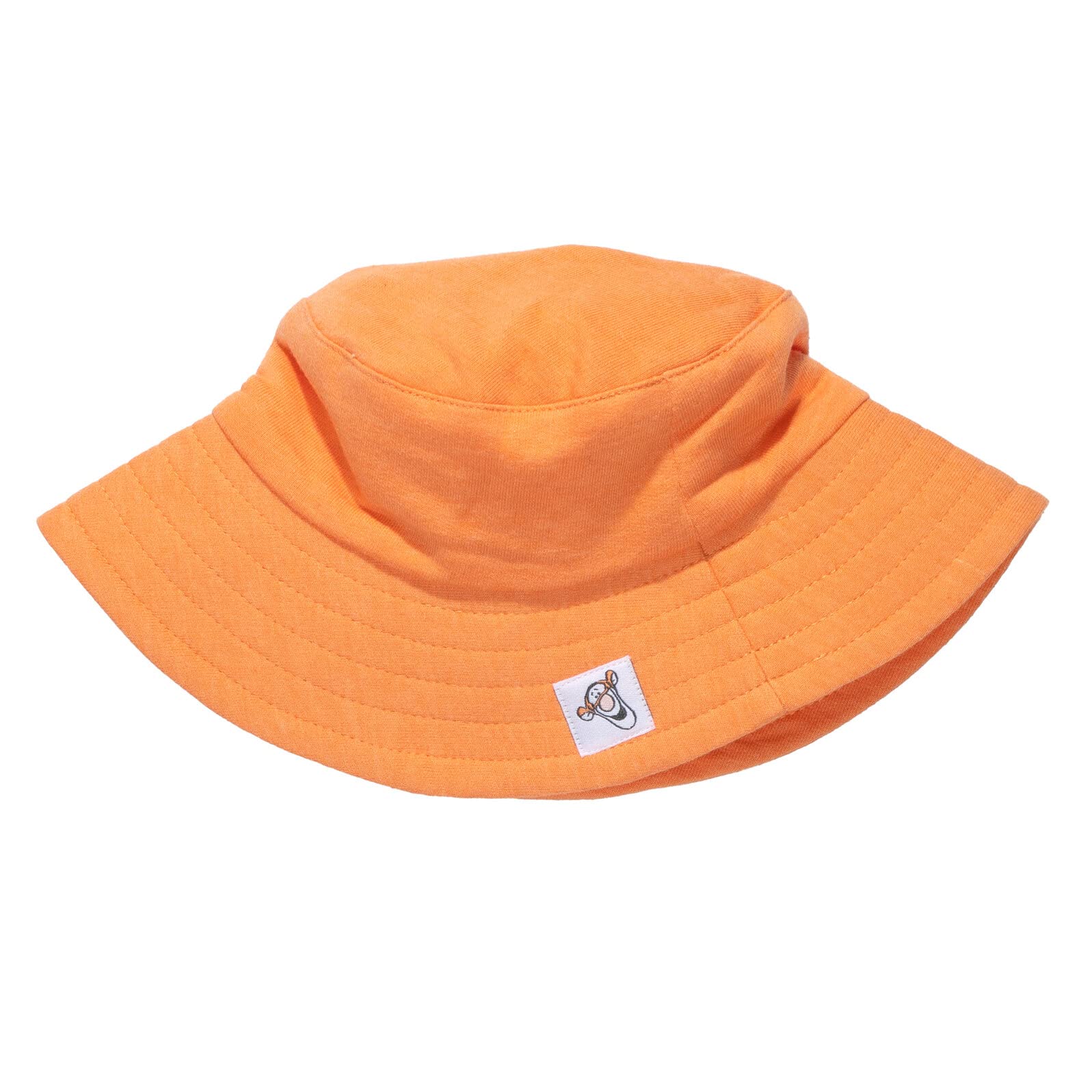 Disney Winnie the Pooh Tigger Baby Boys 3 Piece Set: Overalls T-Shirt Hat6-9 Months