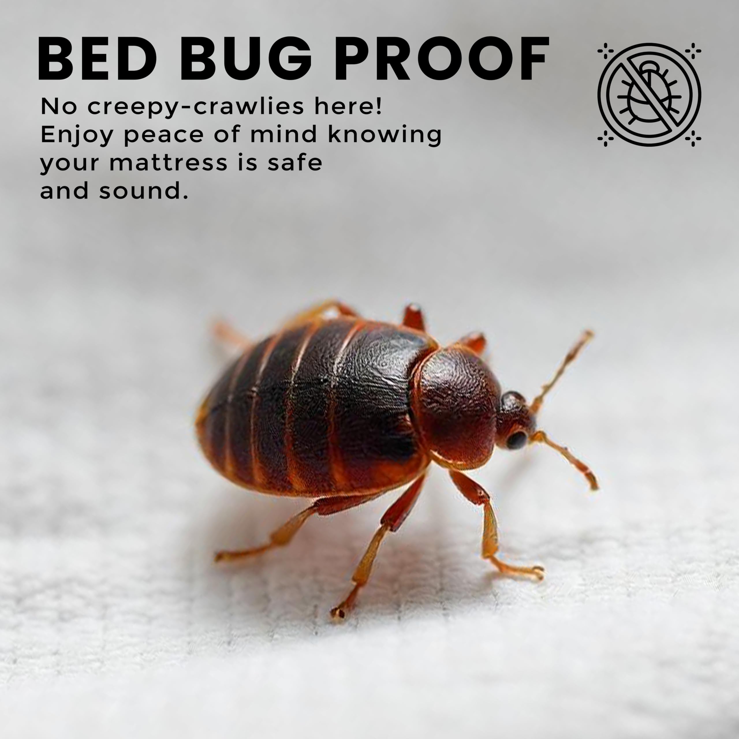 Utopia Bedding Premium Waterproof Bed Bug Mattress Cover, Twin Zippered Mattress Protector, 6 Inches Deep, Dust Mite Proof 6-Sided Mattress Encasement for Bed