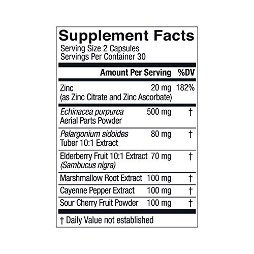 Live Conscious BreatheWell Botanical Respiratory Immune Supplement | with Echinacea, Elderberry, Zinc | Immune System Support Vitamins 60 Capsules
