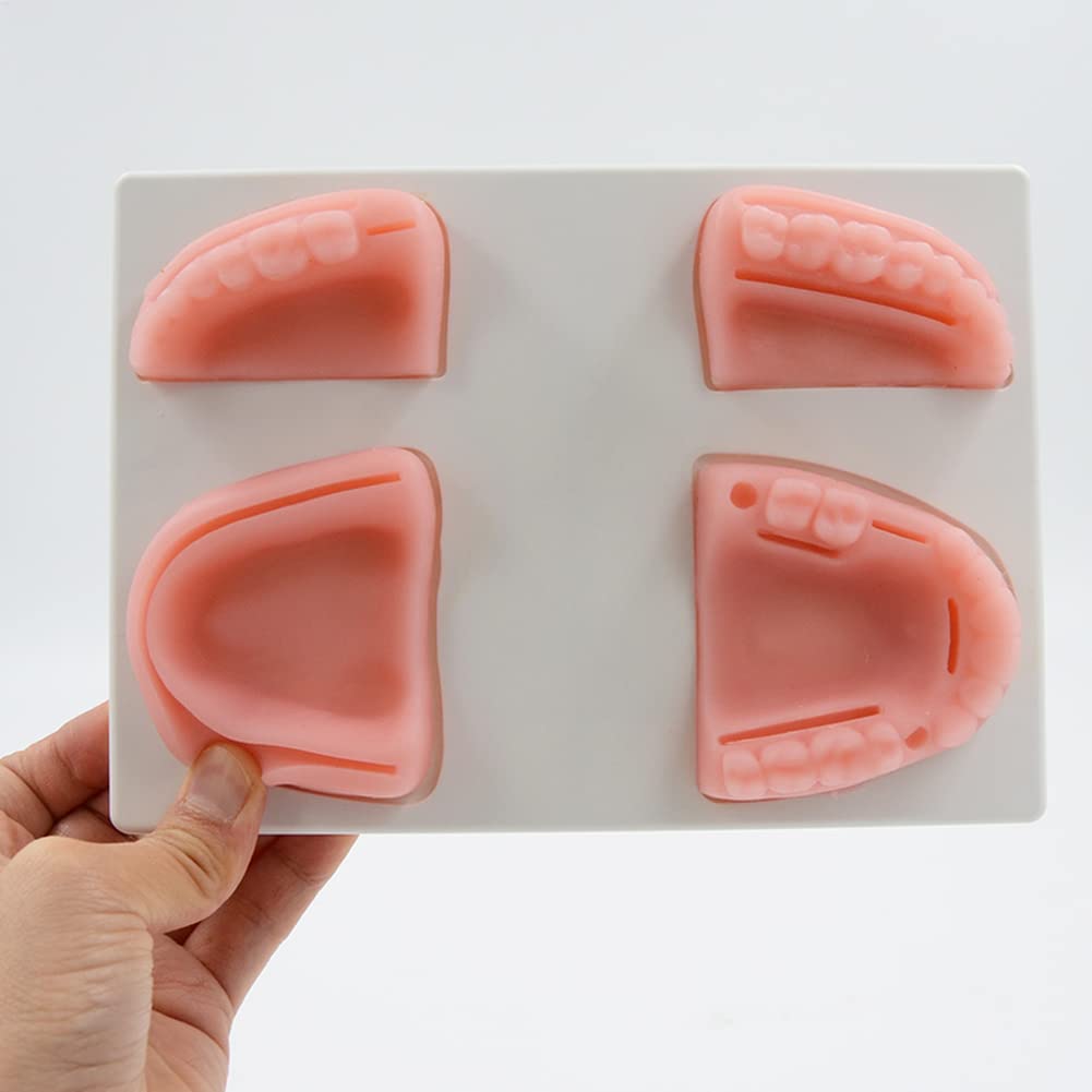 LSOAARRT Oral Suture Training Model Silicone Dental Suture Pad Kit for Hospital Students Vets Practicing Suturing and Implants on Soft Gum Teeth Pink