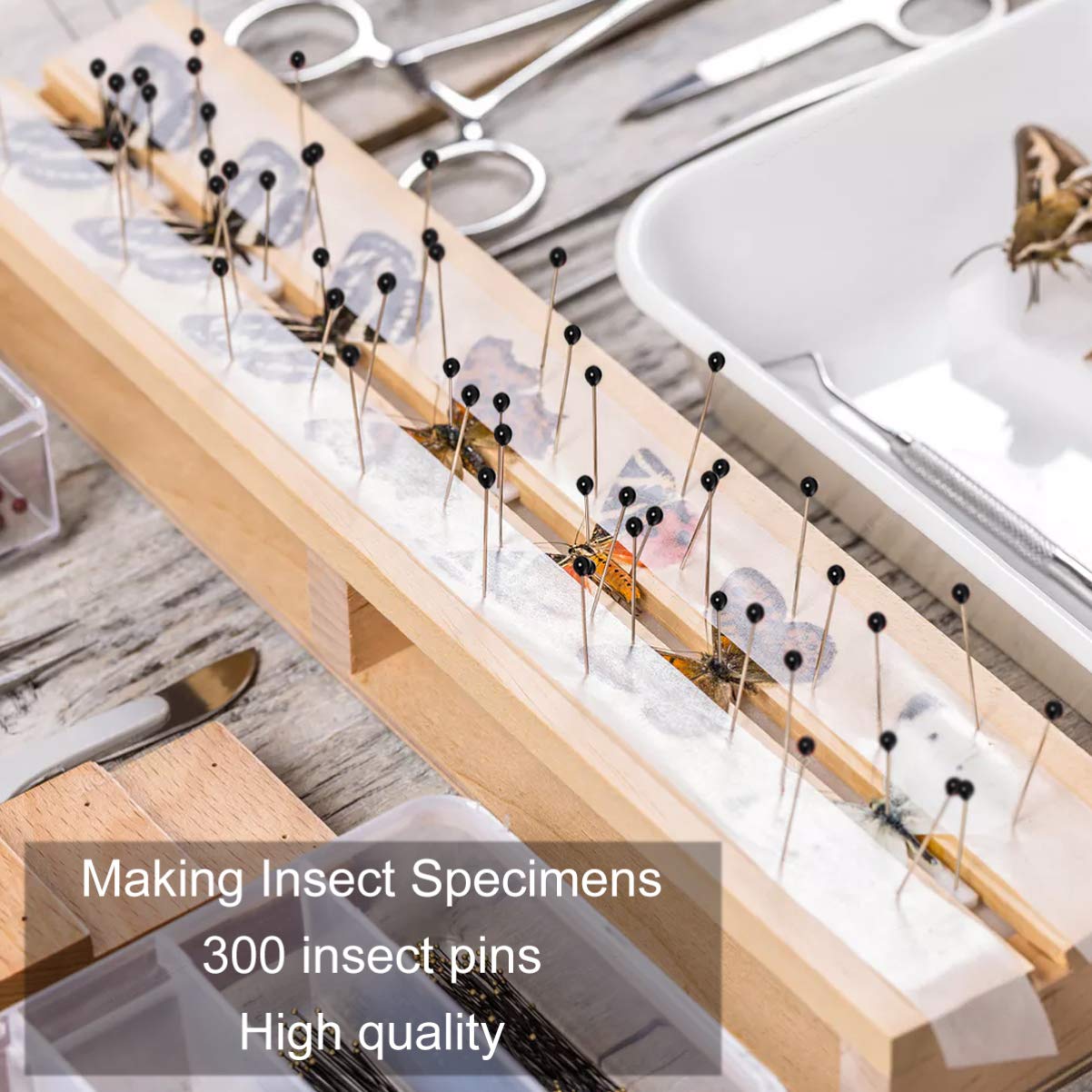 UKCOCO 300 Pcs Stainless Steel Insect Pins,Entomology Pins Needles Insect Specimen Pins for School Lab Entomology Butterfly Collectors (Size 0 1 2,100 Each)