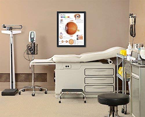Set of 2 Framed Medical Posters The Eye and Understanding Glaucoma 22"x28" Wall Diagrams