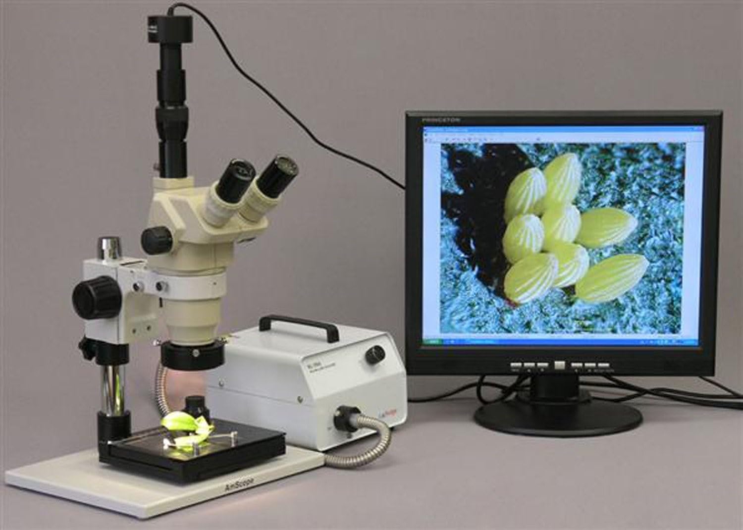 AmScope HL150-AR Microscope Halogen Fiber Optic Ring Illuminator 150W
