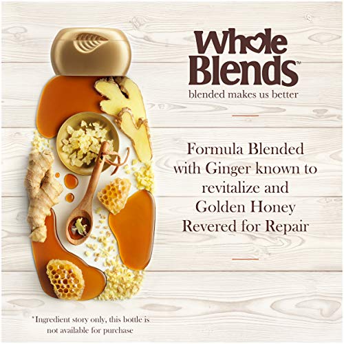 Garnier Hair Care Whole Blends Ginger Recovery Strengthening Shampoo, 22 Fluid Ounce