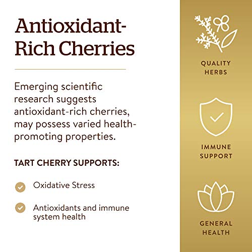 Solgar Tart Cherry 1000 mg, 90 Vegetable Capsules - Antioxidant with Quercetin, Chlorogenic Acid & Anthocyanins Compounds - Non GMO, Vegan, Gluten Free, Dairy Free - 90 Servings