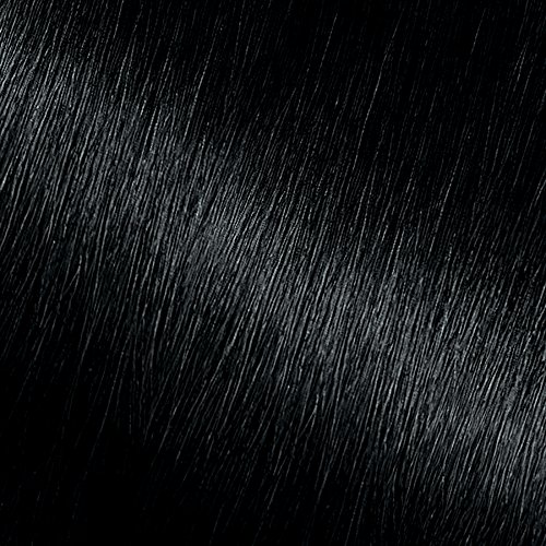 Garnier Hair Color Nutrisse Nourishing Creme, 11 Blackest Black (Peppercorn) Permanent Hair Dye, 2 Count (Packaging May Vary)